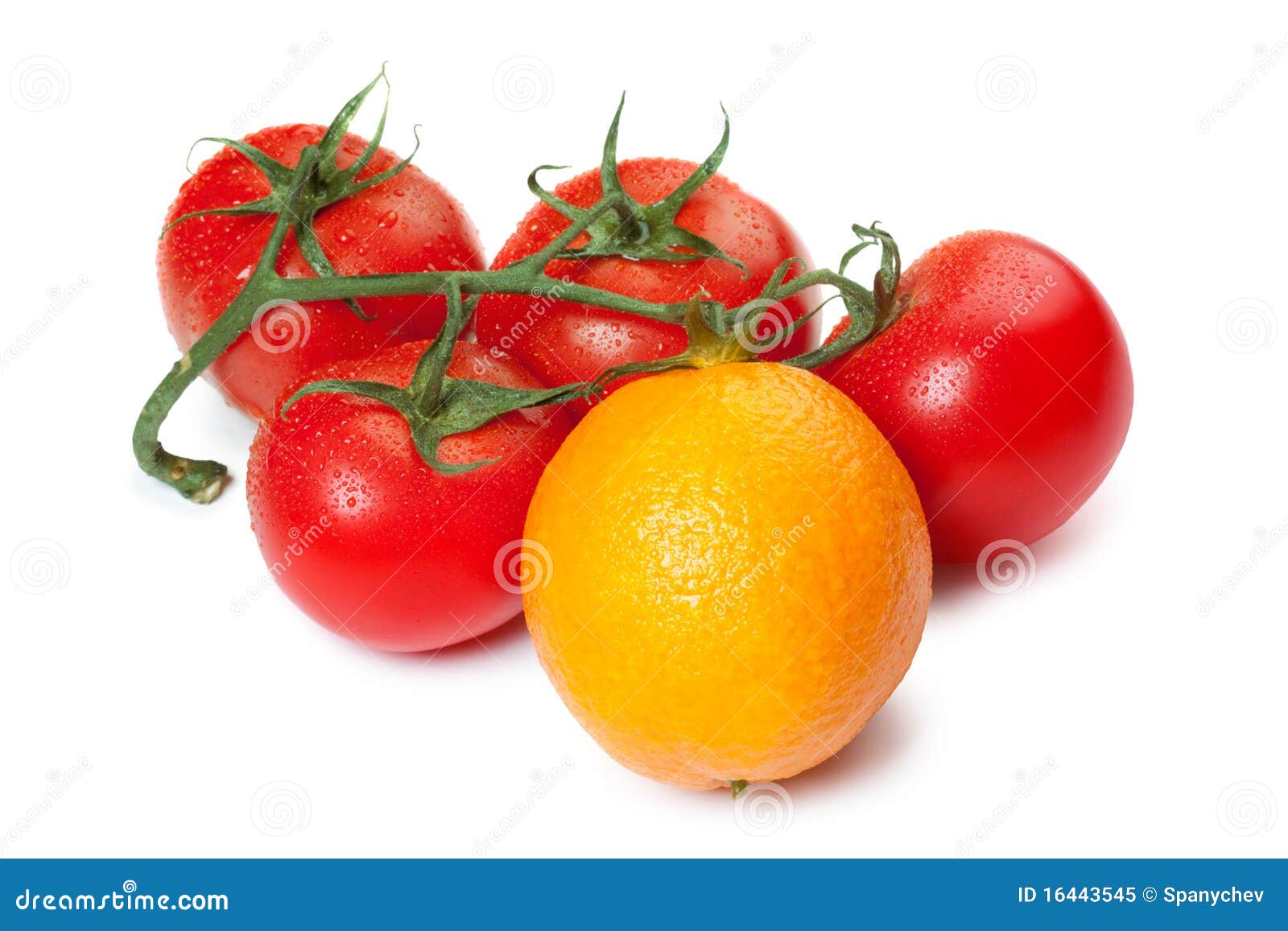 Genetic Engineering Biotechnology Concept Stock Image - Image of ...