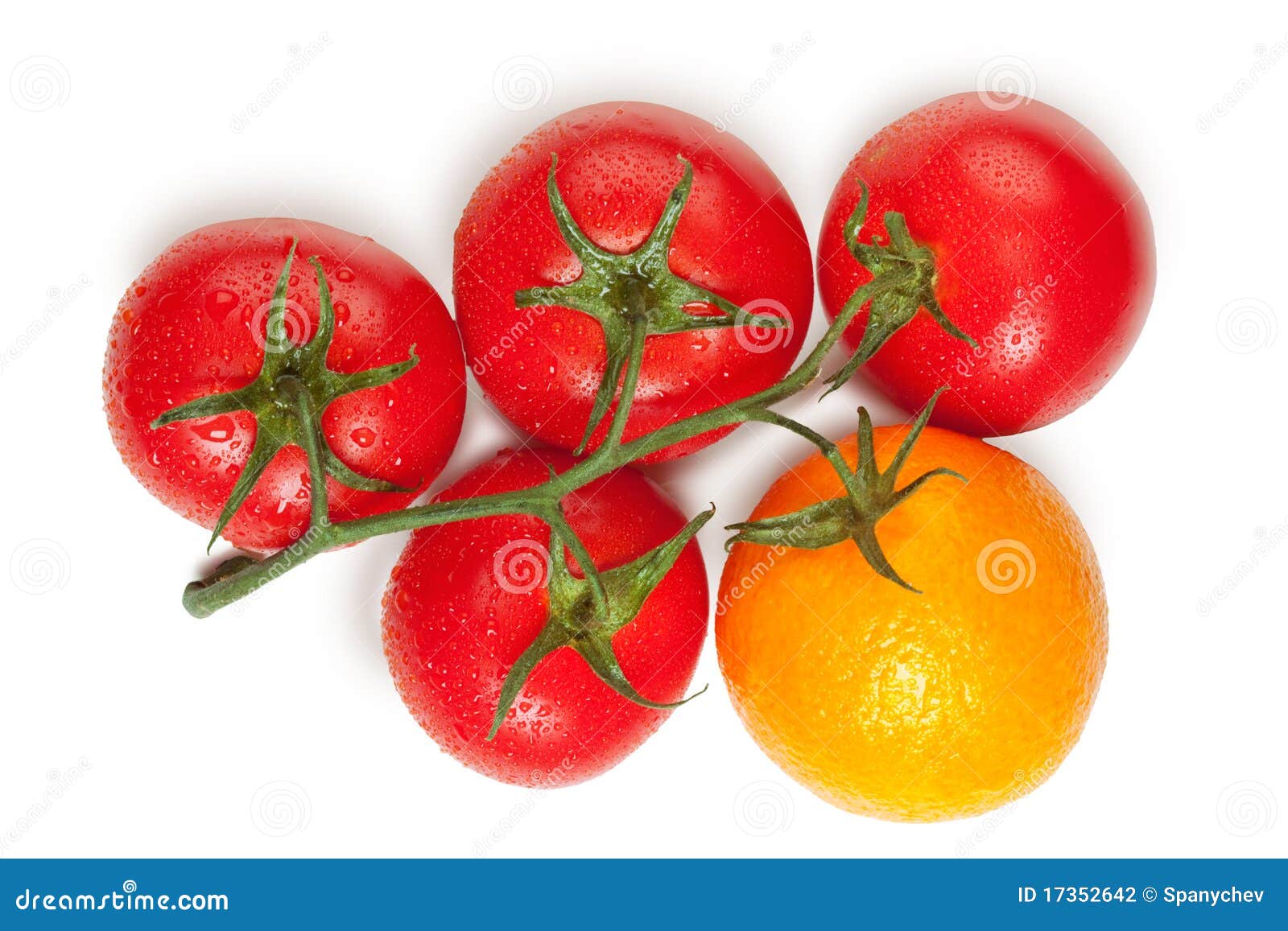 Genetic Engineering Biotechnology Concept Stock Photo - Image of hybrid ...