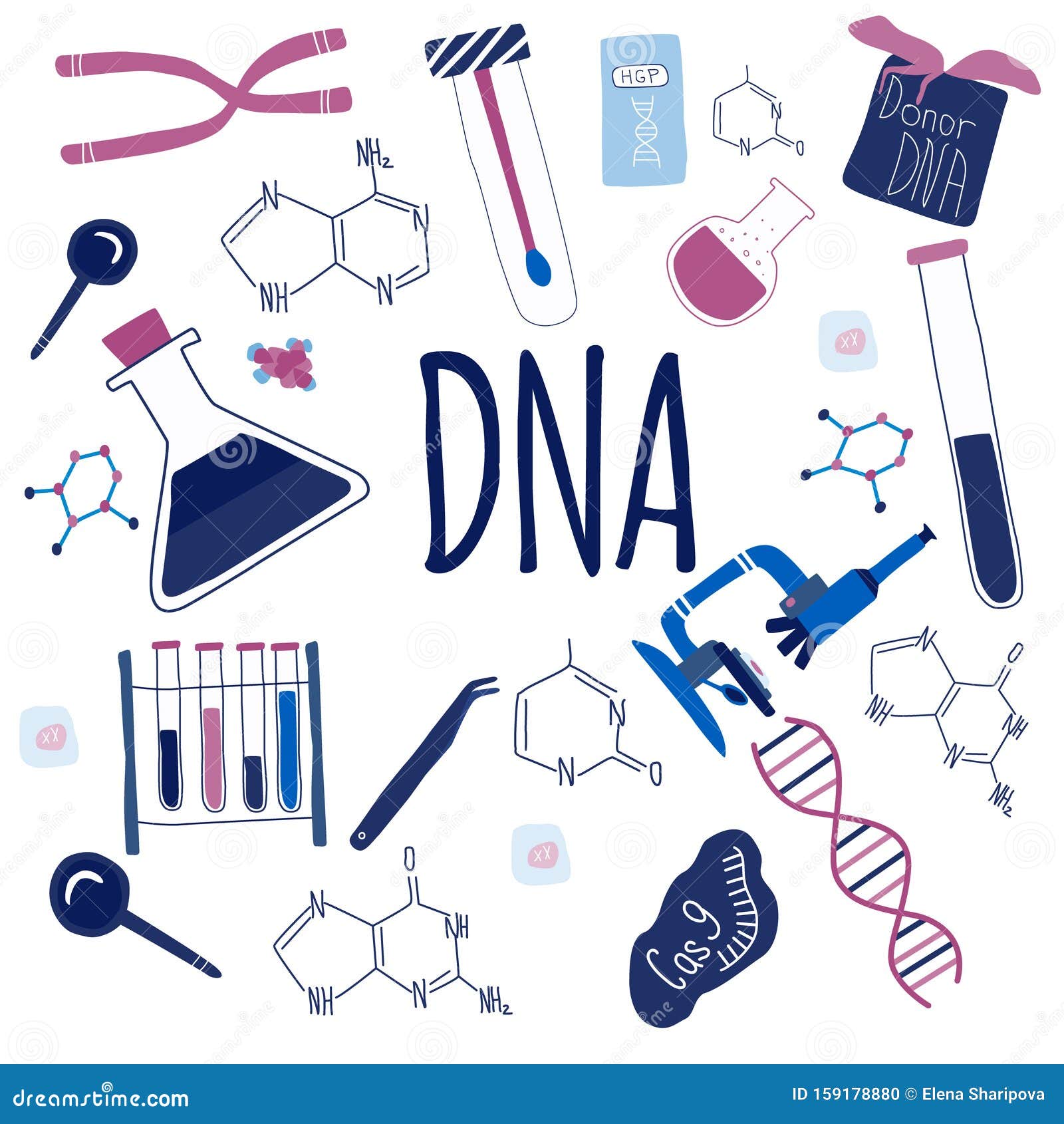 Dna Elements. Helix Double Chromosomes Model Molecule Genome Code ...