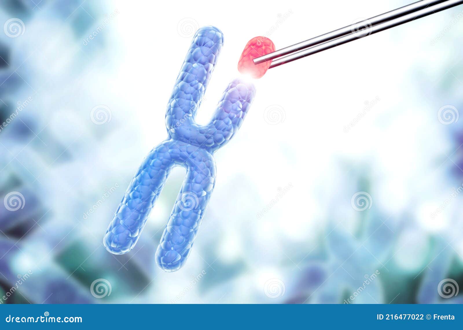 Genetic Engineering, GMO and Gene Manipulation Concept Stock ...