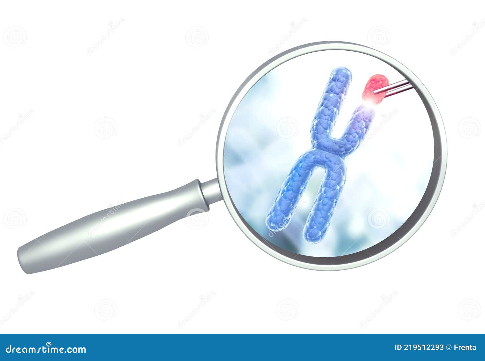 Genetic Engineering, GMO and Gene Manipulation Concept Stock ...