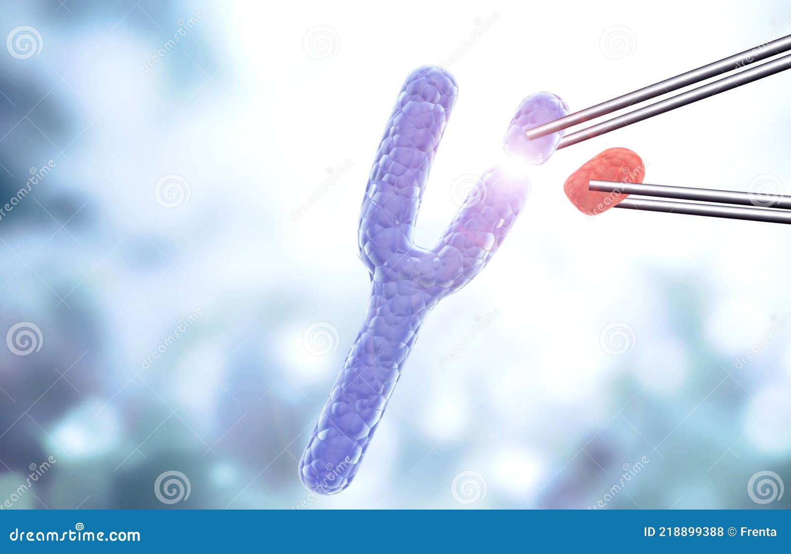 Genetic Engineering, GMO and Gene Manipulation Concept Stock ...