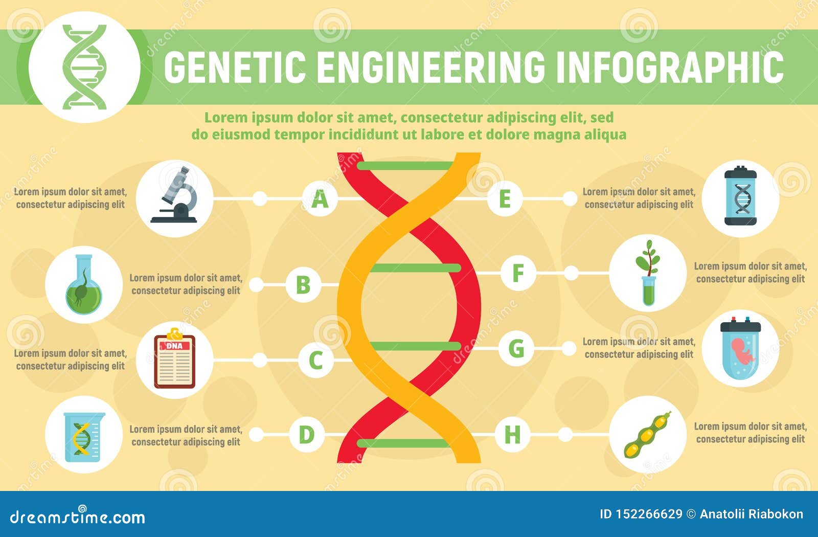 Diagram Of Genetic Engineering Diagram Of Genetic Engineering