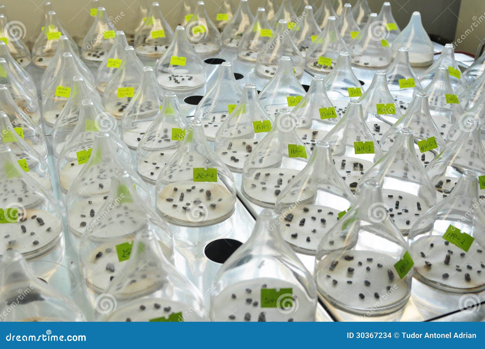 Genetic engineering stock photo. Image of engineering - 30367234