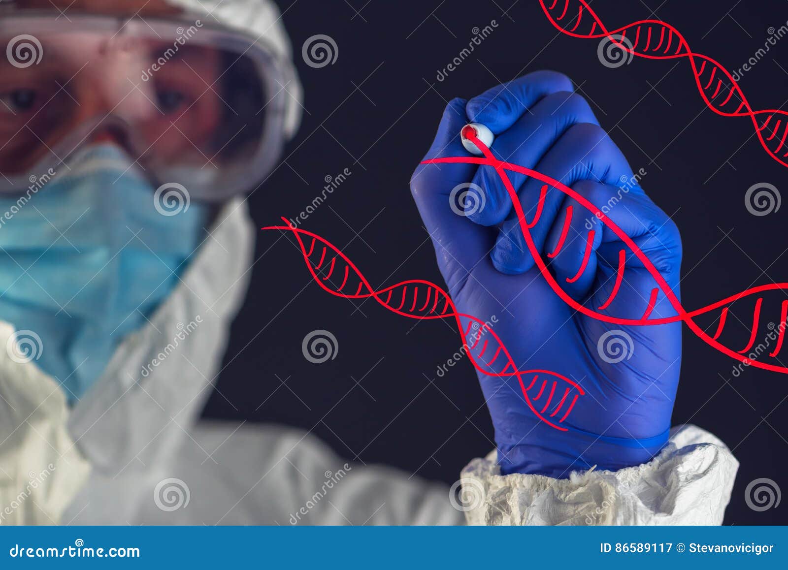 Genetic Engineering and Science, Scientist Working in Laboratory Stock ...