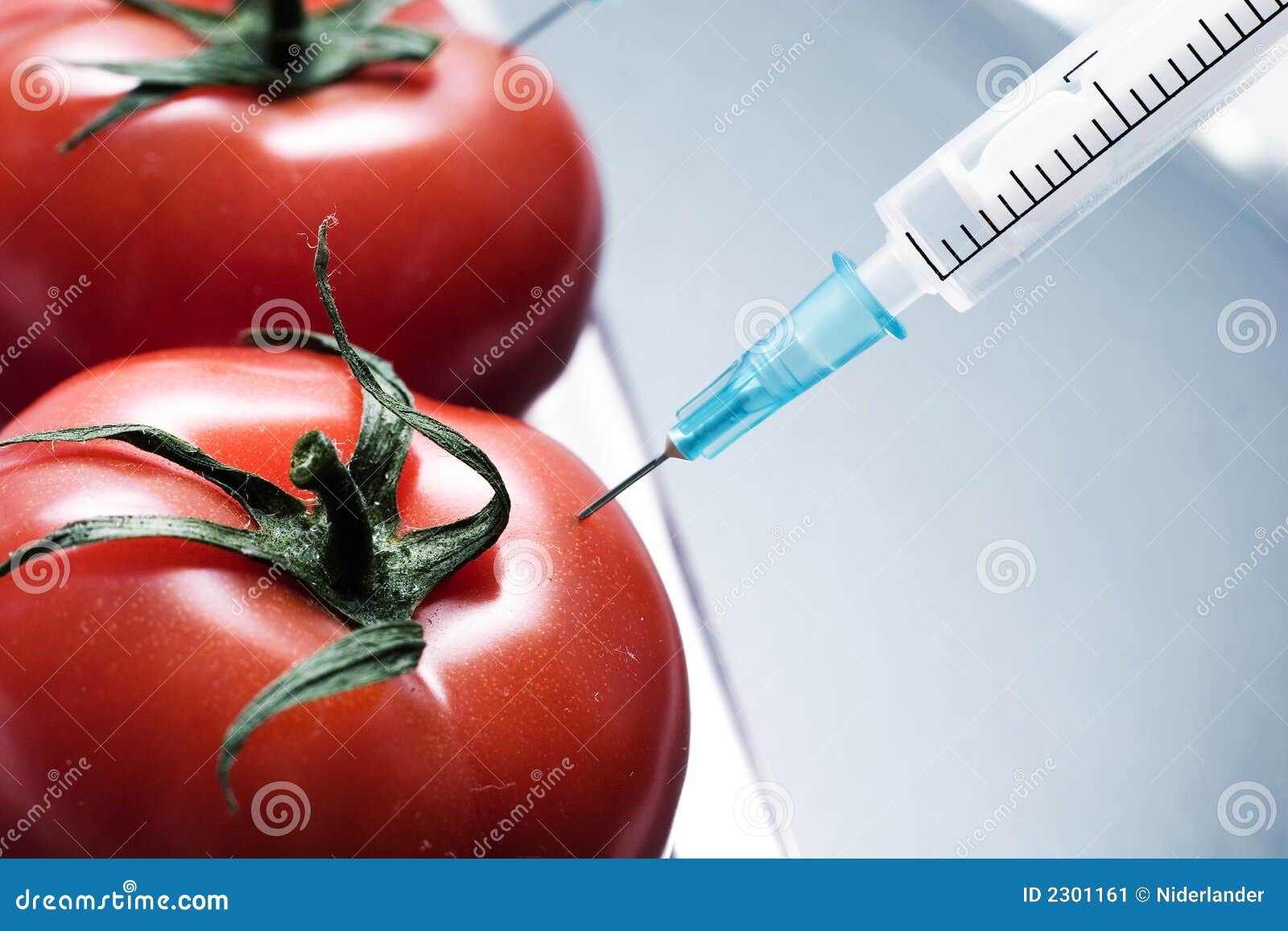 Genetic experiment stock image. Image of experiment, science - 2301161