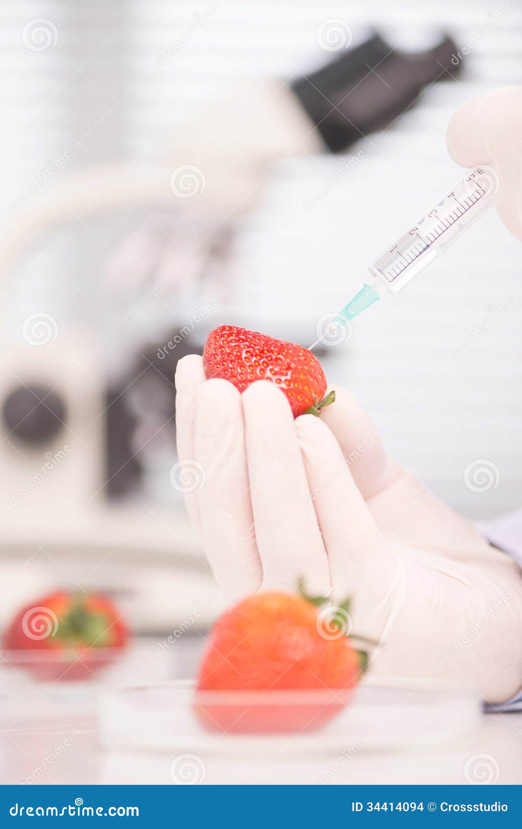 Genetic experiment stock photo. Image of selective, scientist - 34414094