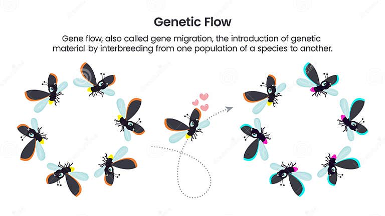 Genetic Flow Scientific Vector Illustration Graphic Stock Vector ...