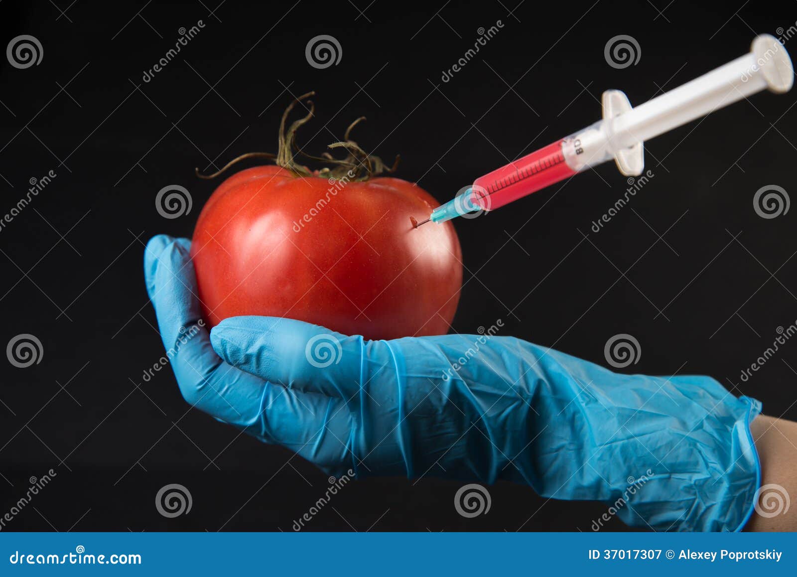 Genetic Injection into Tomato Stock Image - Image of improvement, fruit ...