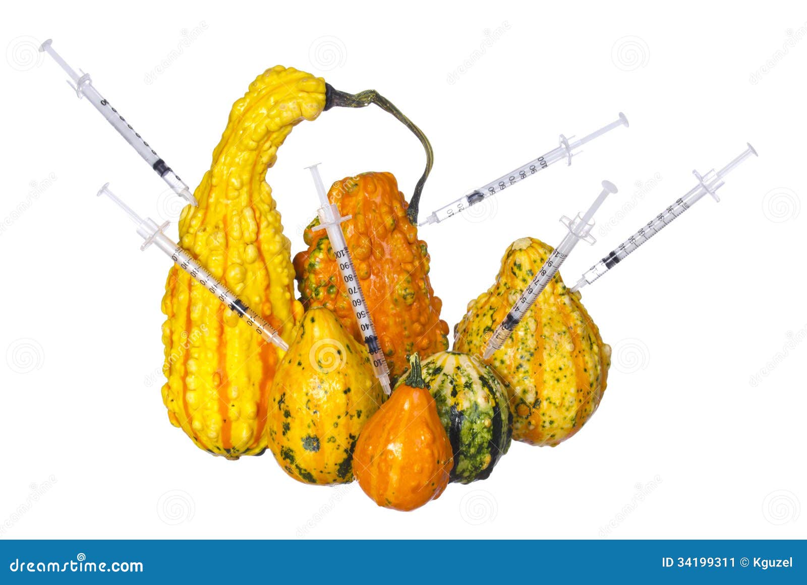 Genetic Injections into Pumpkins Isolated. Genetically Modified or ...