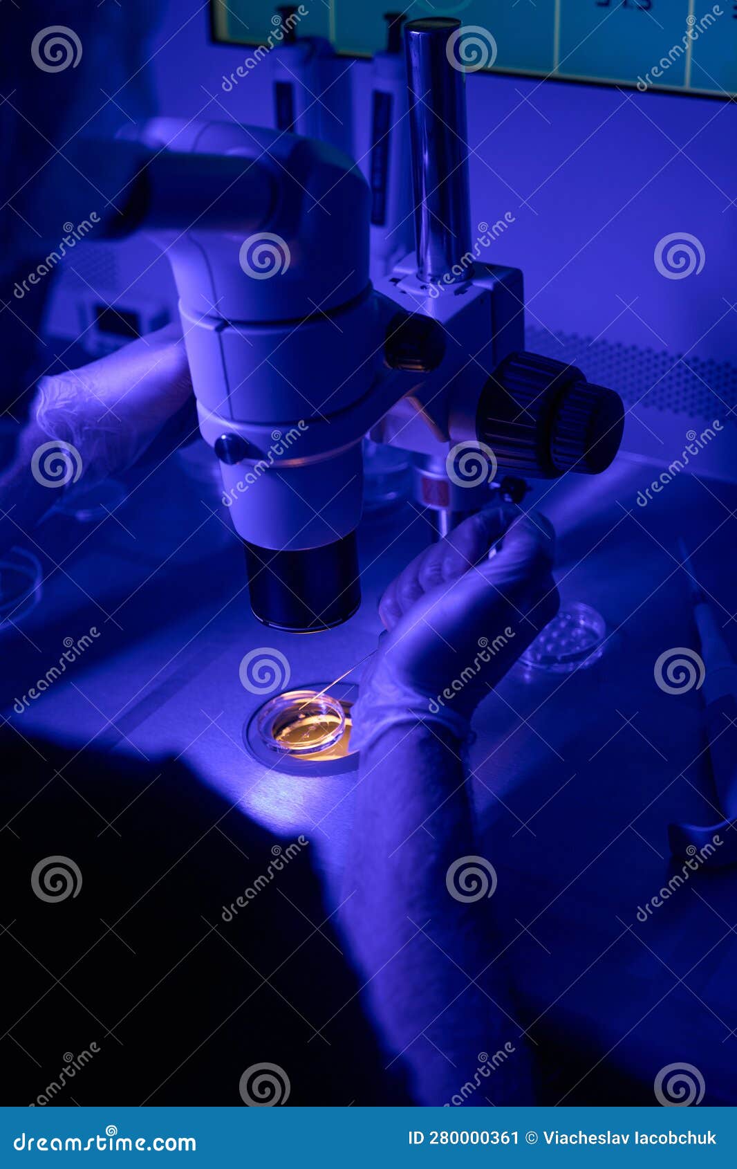 Genetic Laboratory Technician Making Intracytoplasmic Sperm Injection ...