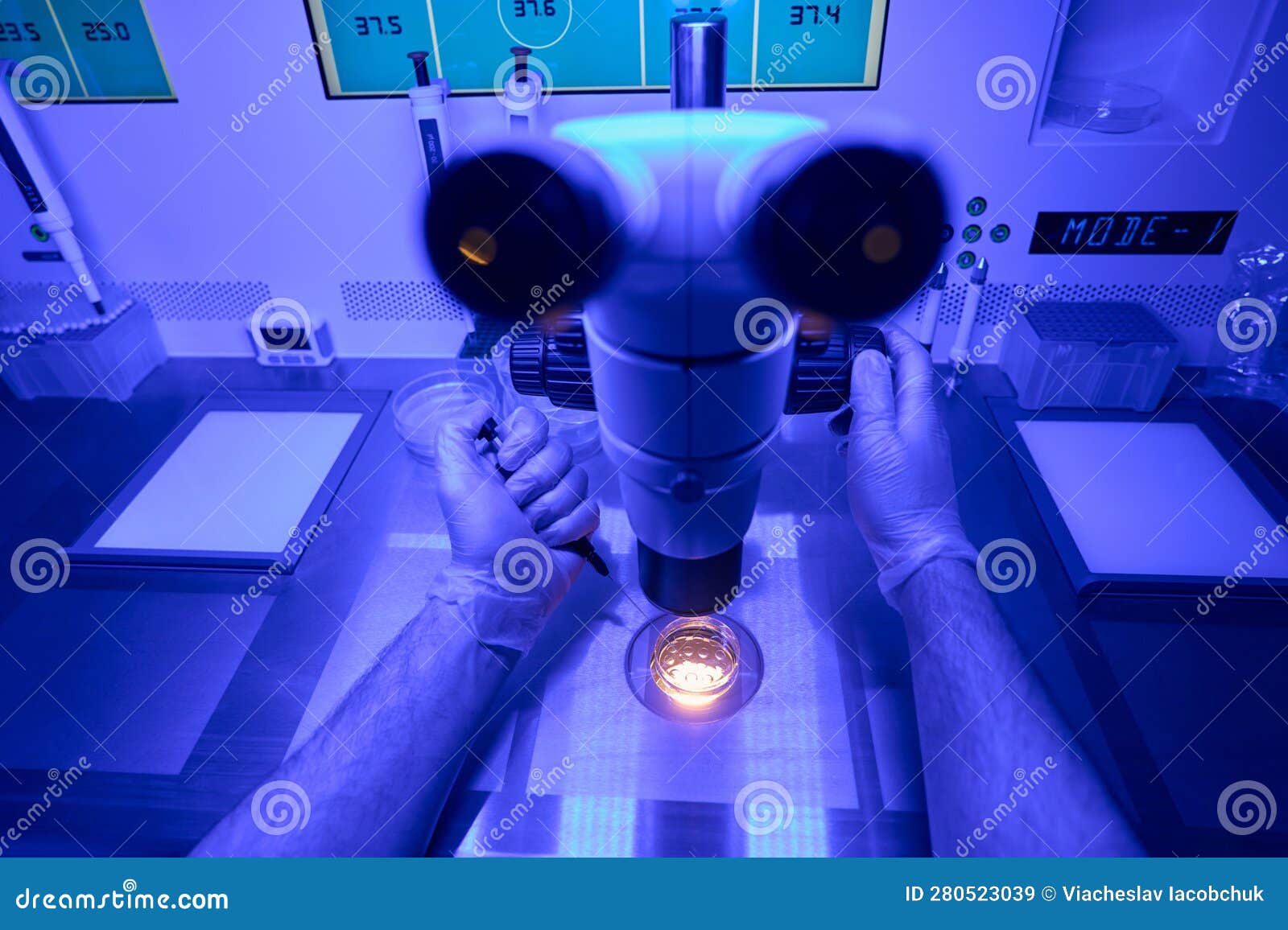 Genetic Laboratory Worker Doing Cytoplasmic Injection in Clinic Stock ...