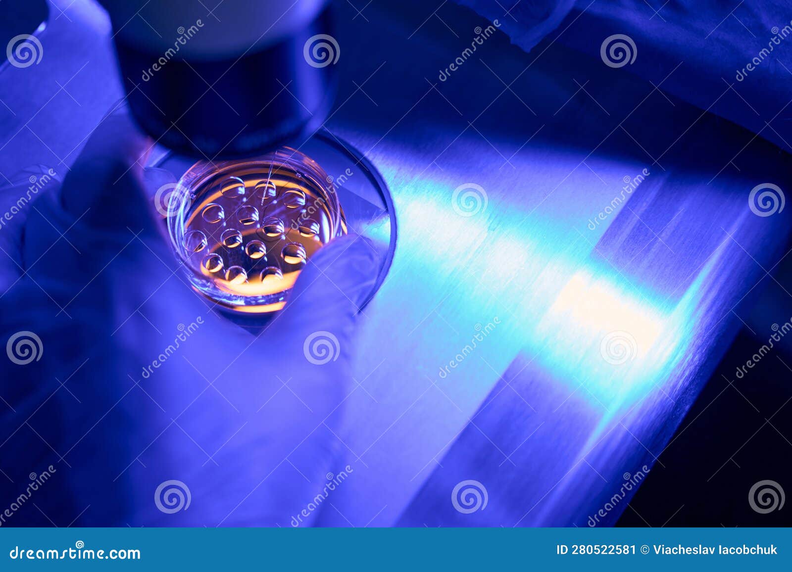 Genetic Laboratory Worker Doing Intra Cytoplasmic Sperm Injection Stock ...