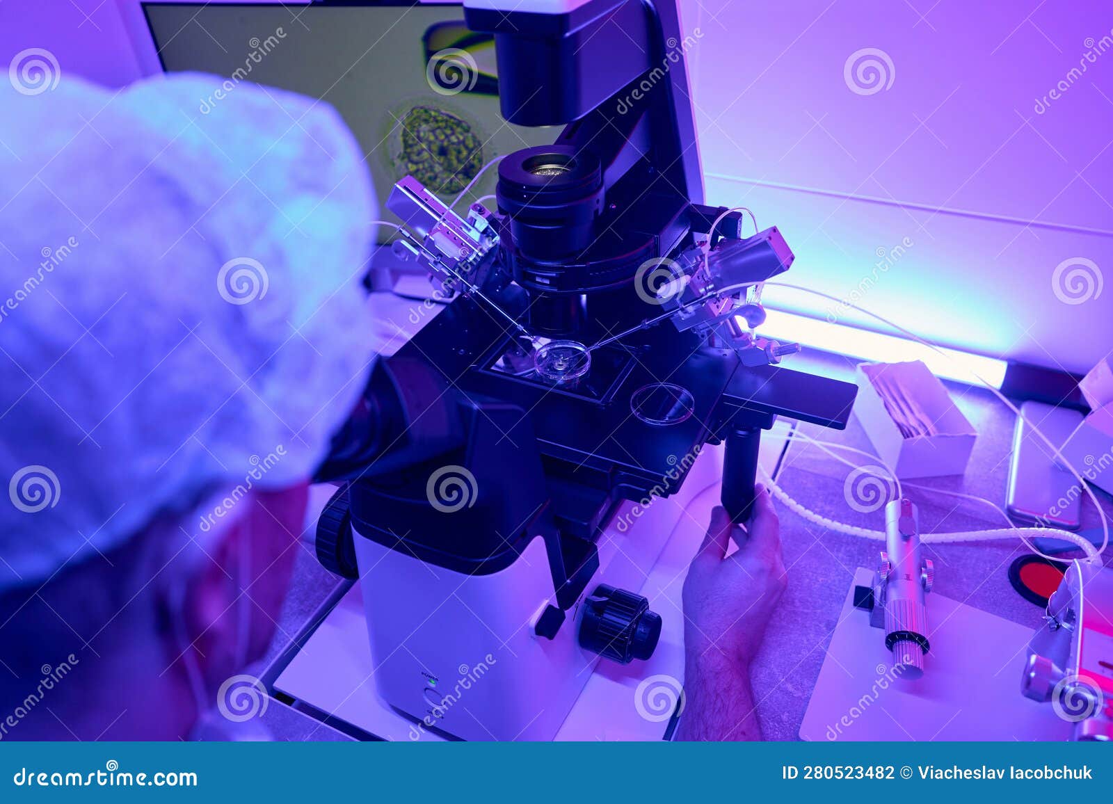Genetic Laboratory Worker Looking on Cell at Display Stock Photo ...