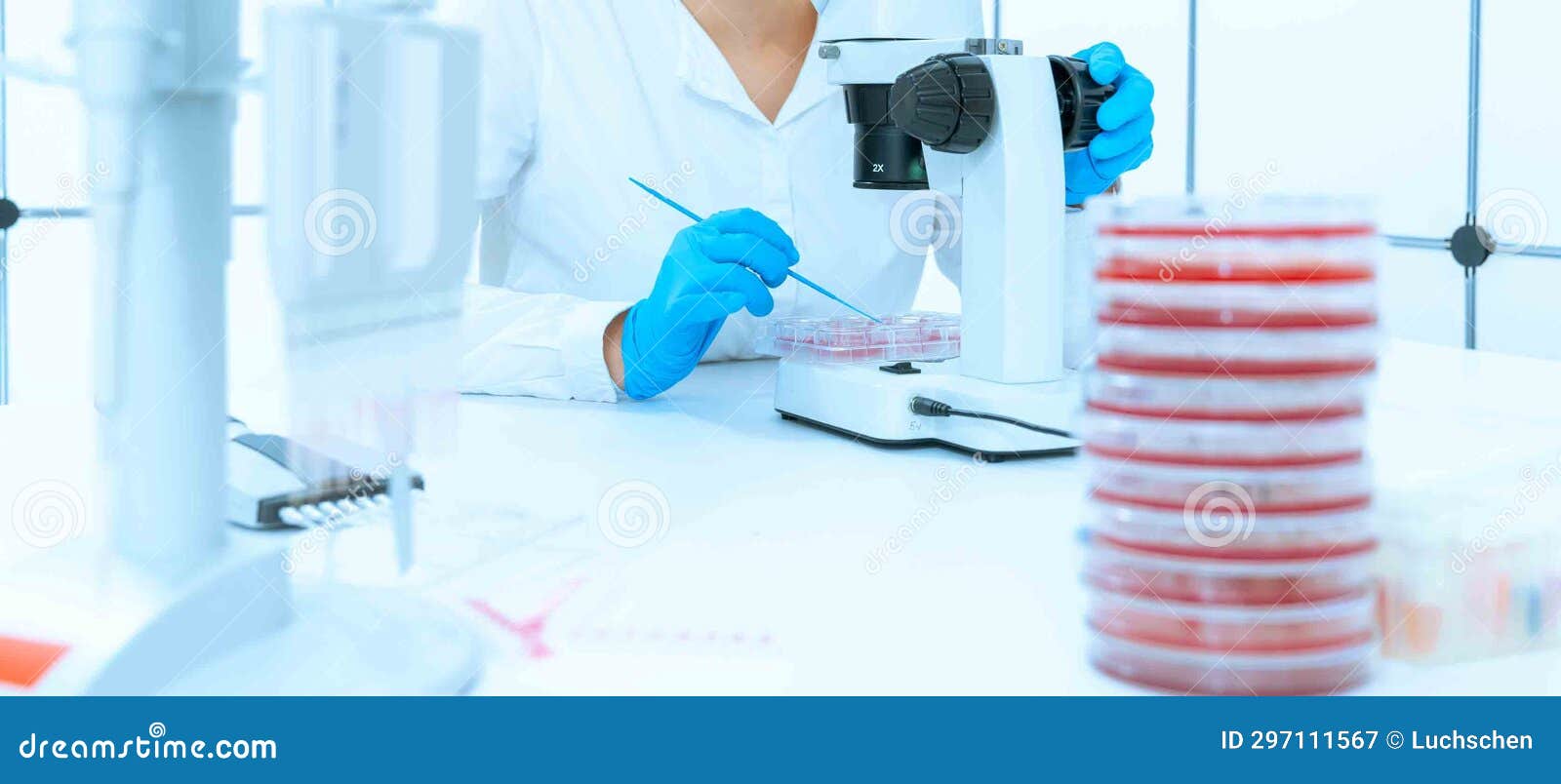 Genetic Material Examination: Microscopy is Used To Study DNA, RNA, an ...