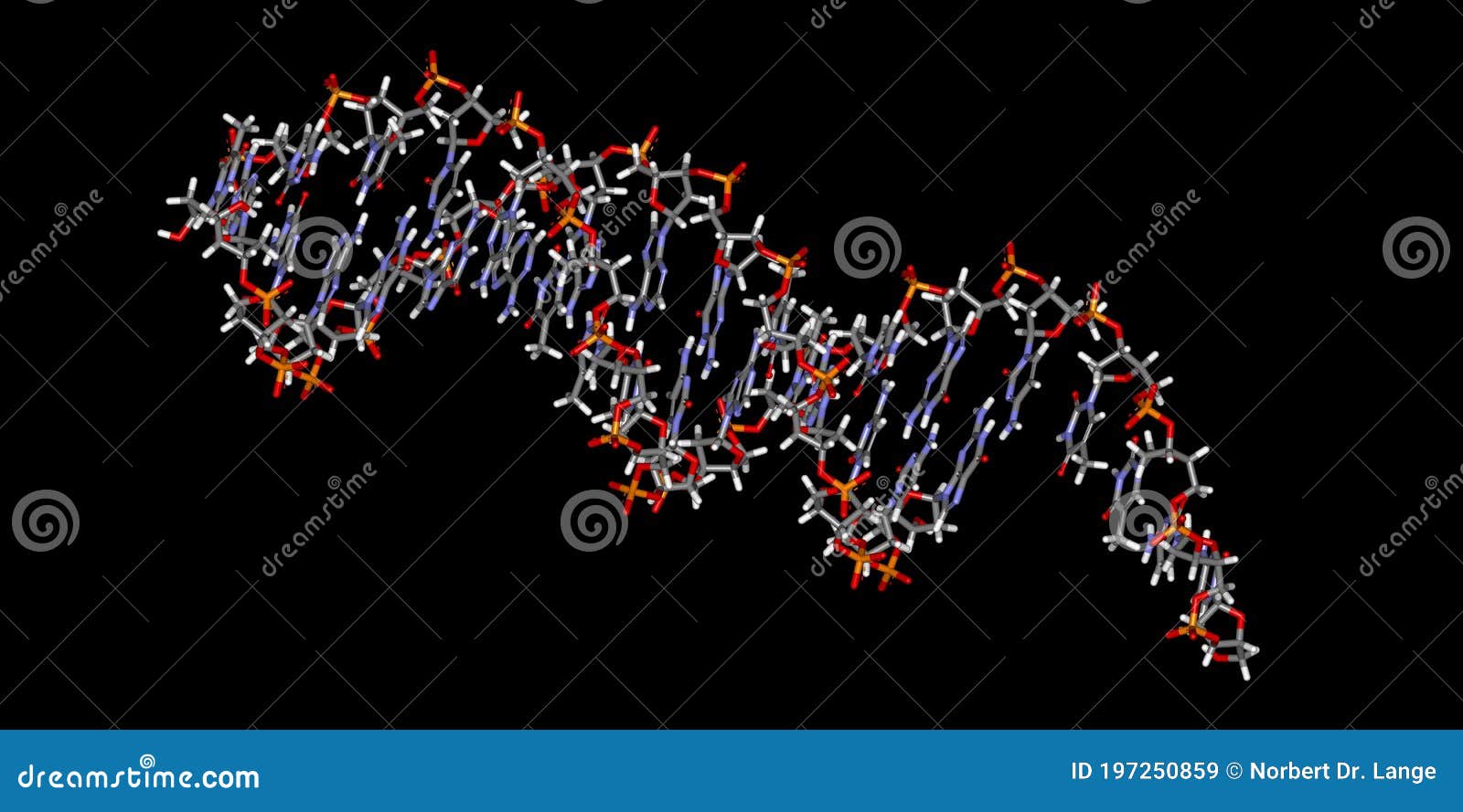Genetic Material Molecular Model Stock Illustration - Illustration of ...