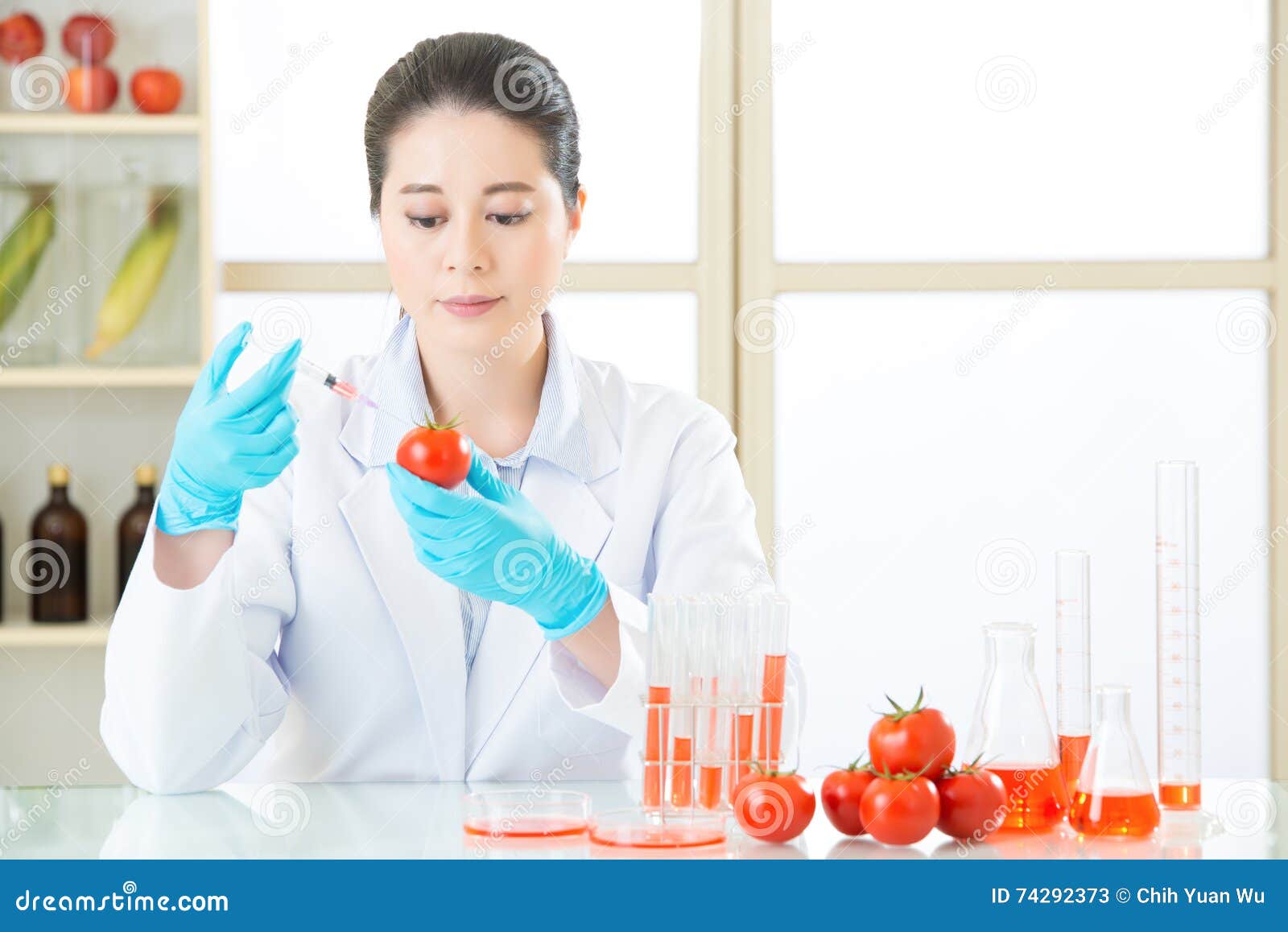 Genetic Modification Food are All Develop from Laboratory Stock Image ...