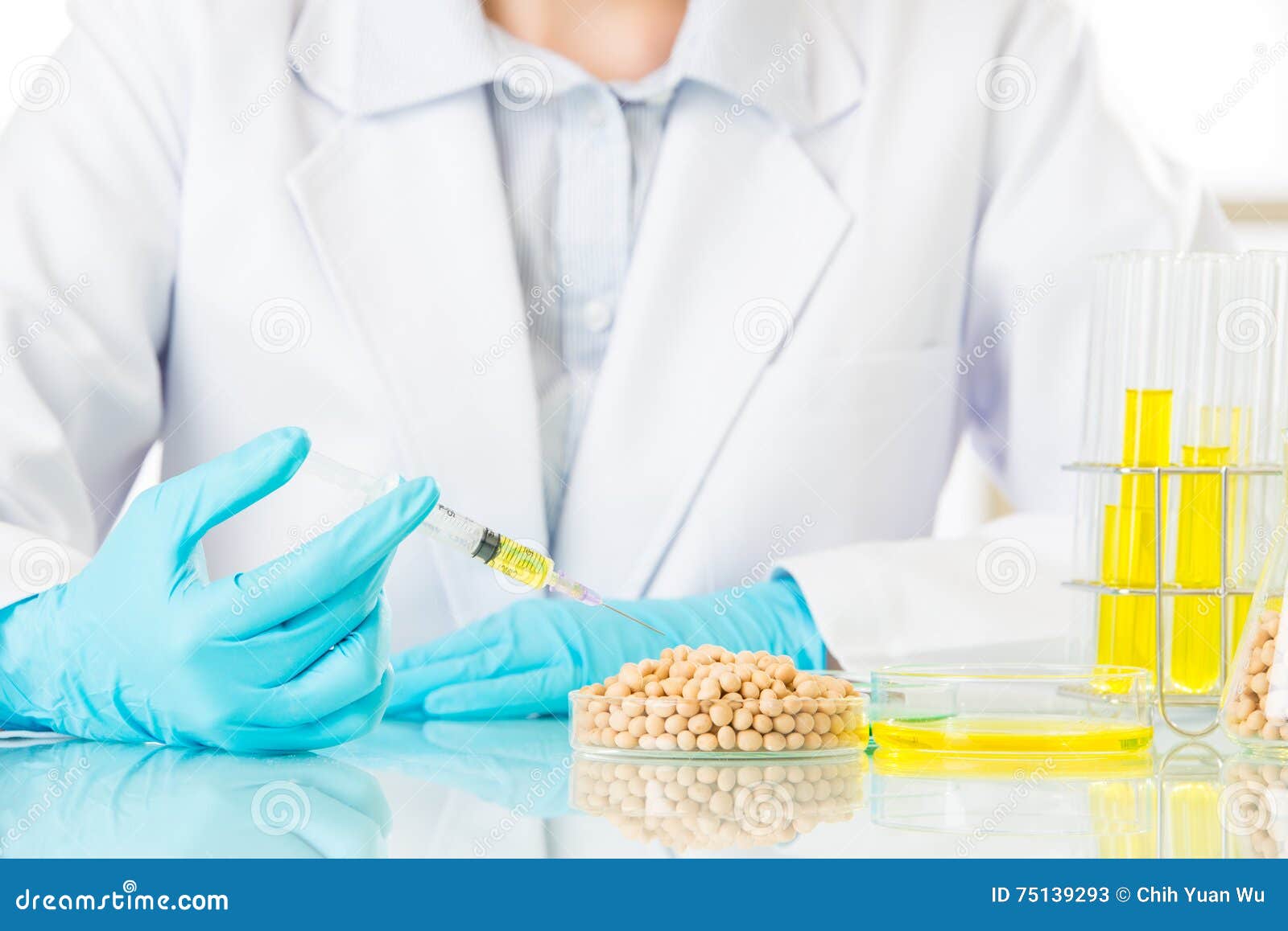 Genetic Modification Food are Everywhere Around the World Stock Image ...