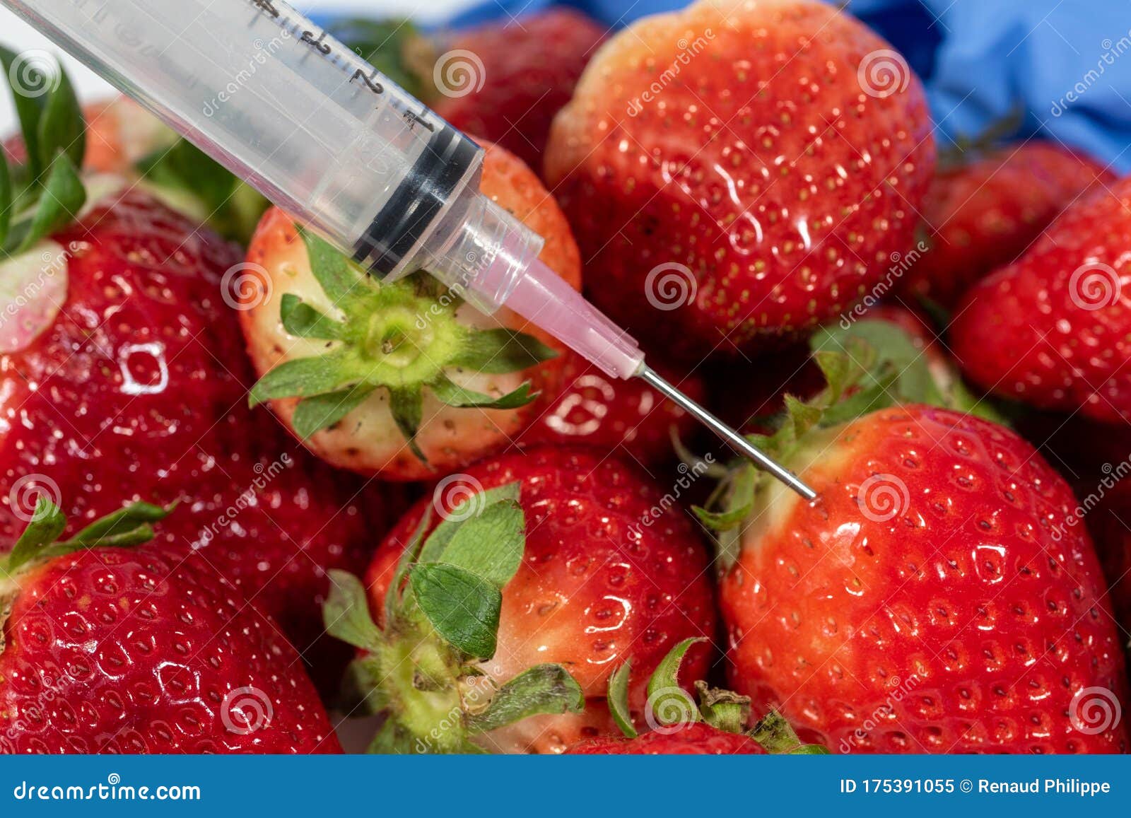 Genetic Modification of Fruits and Vegetables Stock Image - Image of ...
