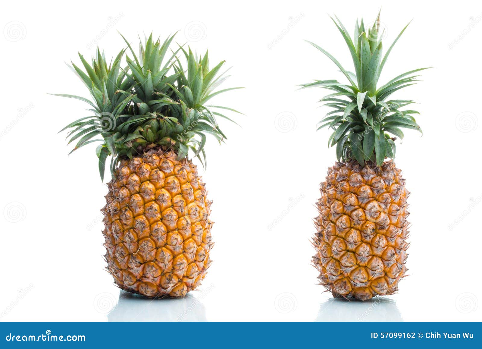 Genetic Modification, Pineapple, Fruit, Modification, Strange, S Stock ...