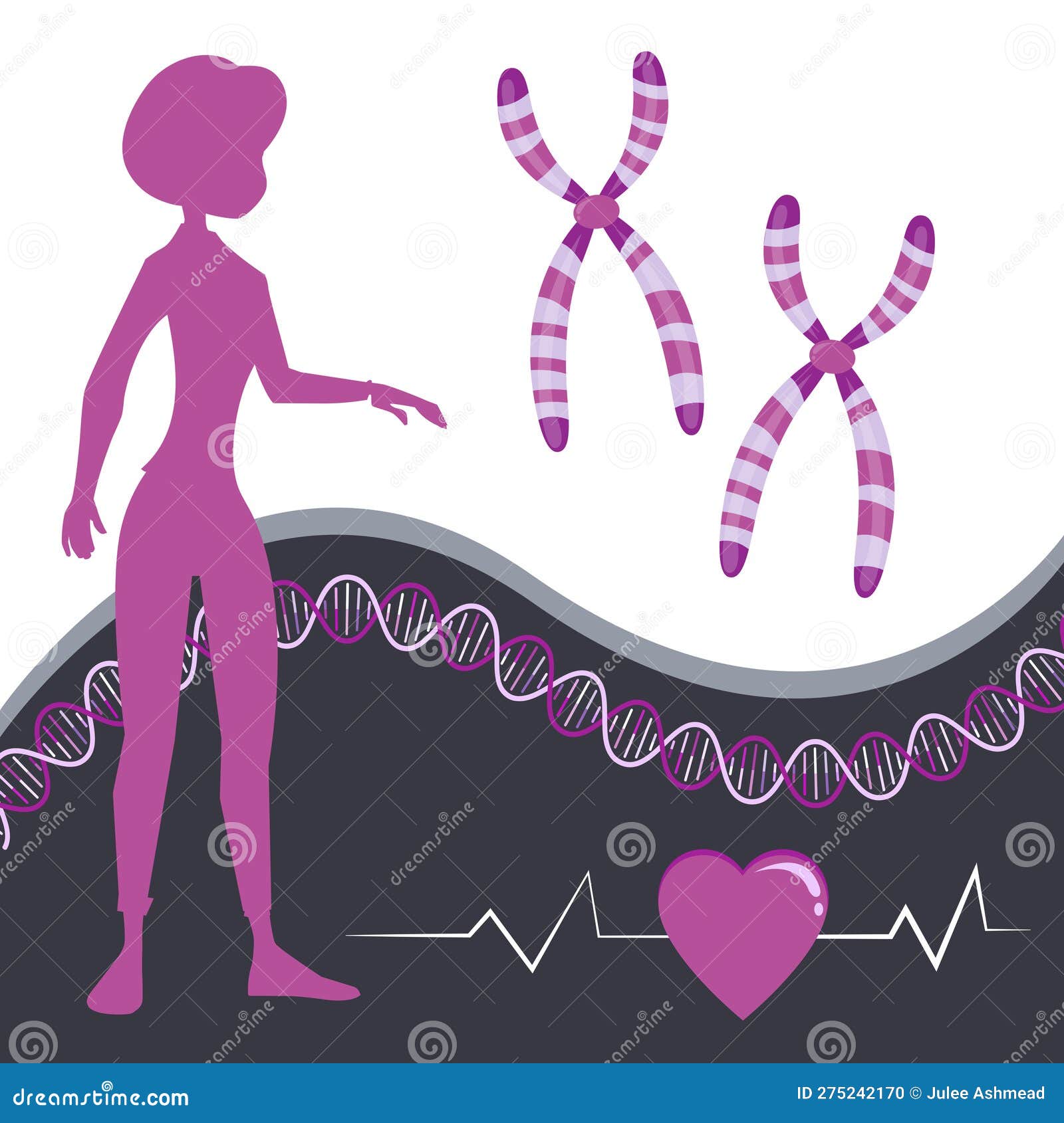 Genetic Risk for Heart Disease Vector Illustration Background Graphic ...