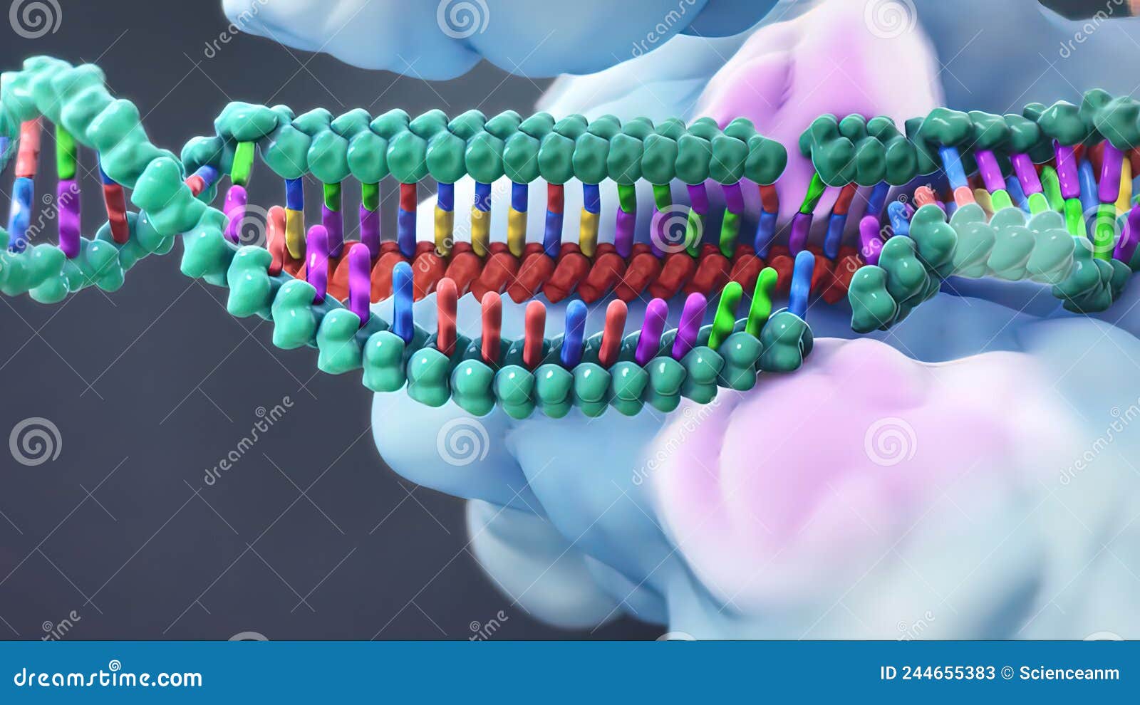 The Genetic Structure of 3D Animated DNA Stock Illustration ...