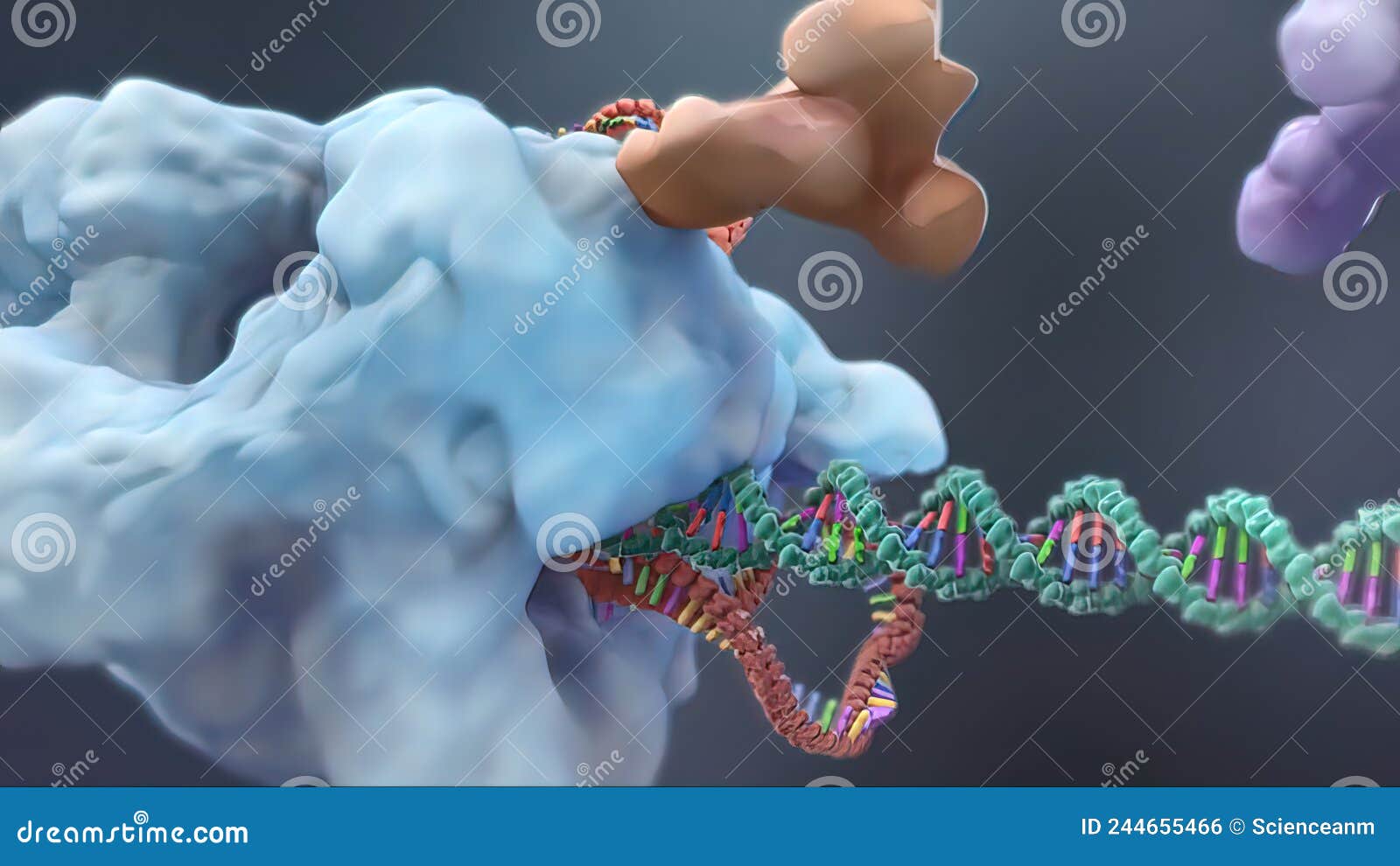 The Genetic Structure of 3D Animated DNA Stock Illustration ...