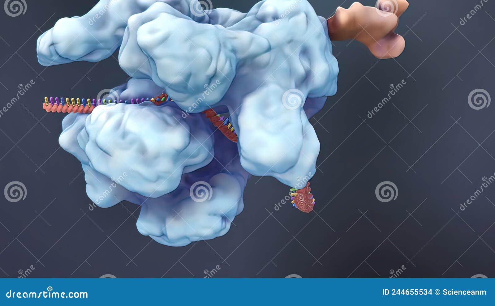The Genetic Structure of 3D Animated DNA Stock Illustration ...