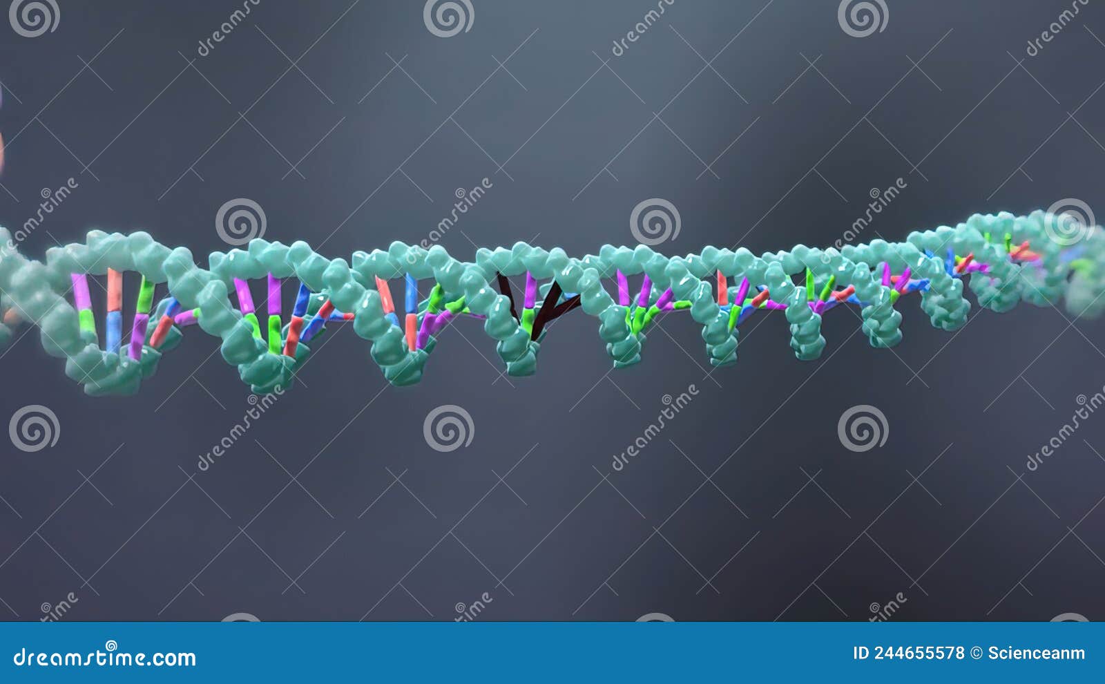The Genetic Structure of 3D Animated DNA Stock Illustration ...