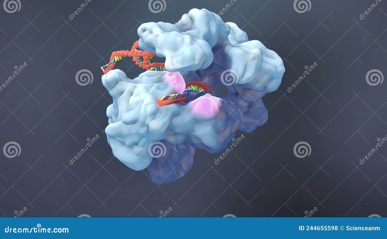 The Genetic Structure of 3D Animated DNA Stock Illustration ...