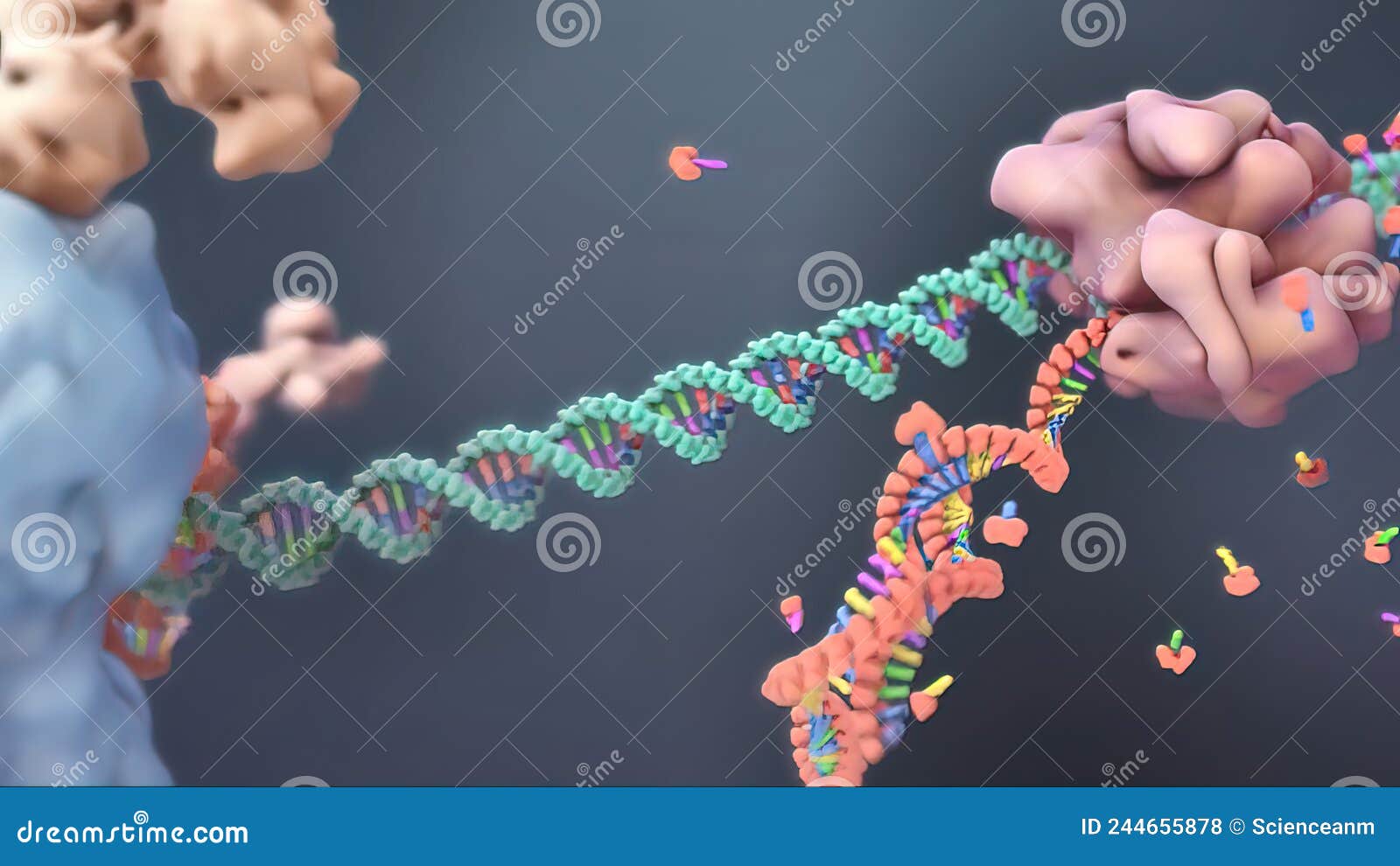 The Genetic Structure of 3D Animated DNA Stock Illustration ...