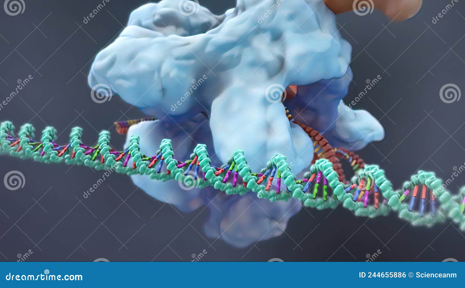 The Genetic Structure of 3D Animated DNA Stock Illustration ...