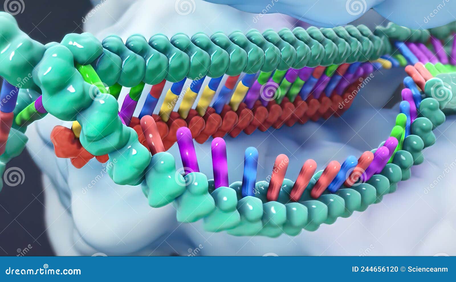 The Genetic Structure of 3D Animated DNA Stock Illustration ...