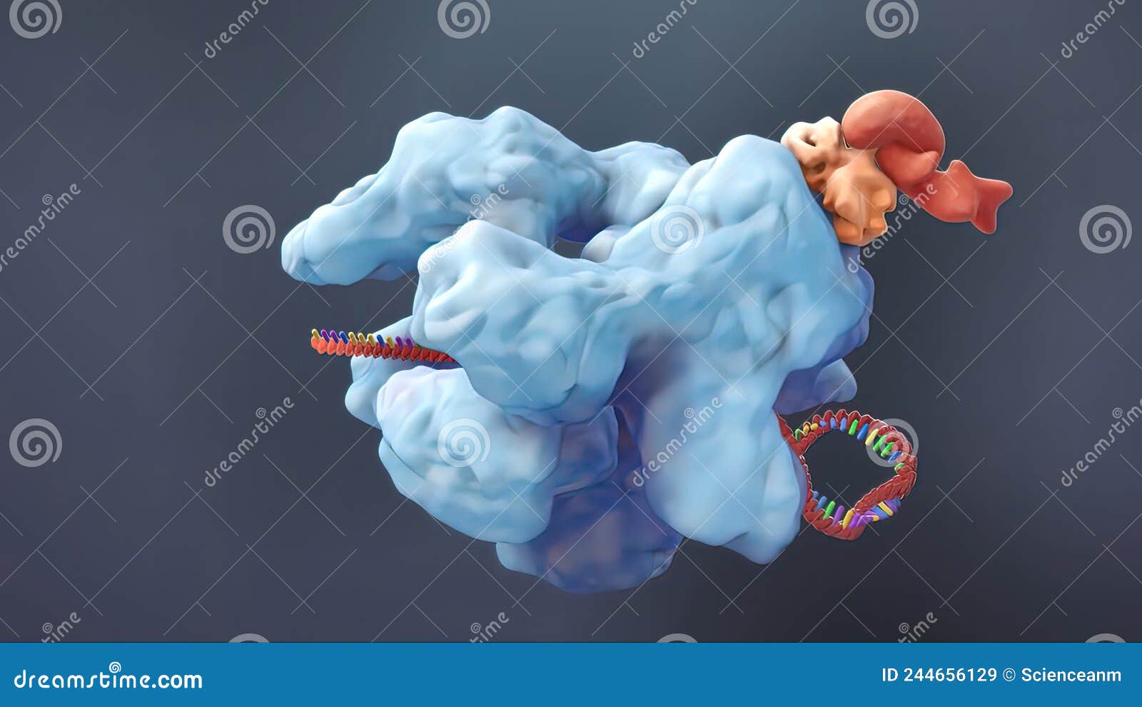 The Genetic Structure of 3D Animated DNA Stock Illustration ...