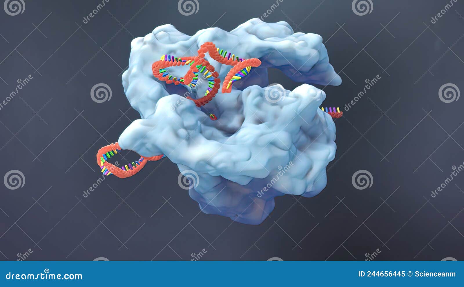 The Genetic Structure of 3D Animated DNA Stock Illustration ...
