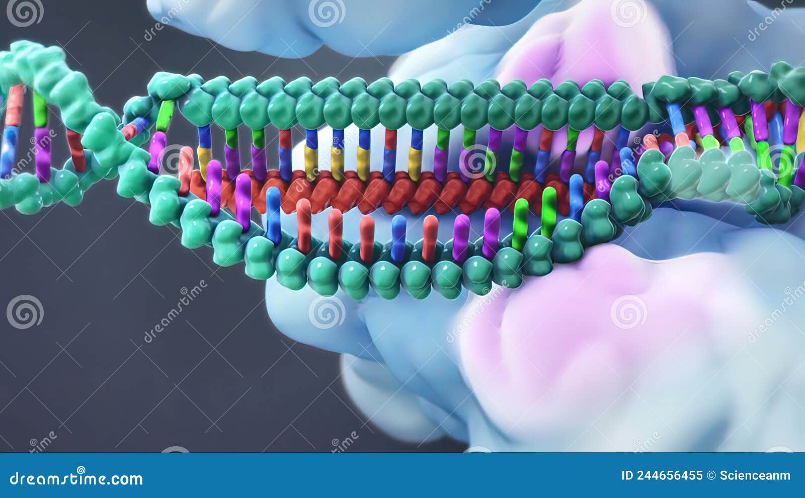 The Genetic Structure of 3D Animated DNA Stock Illustration ...