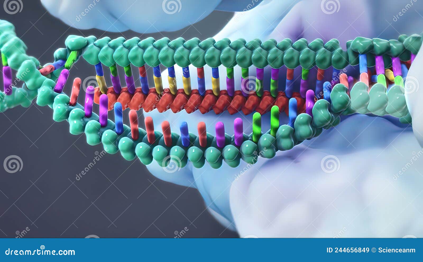 The Genetic Structure of 3D Animated DNA Stock Illustration ...