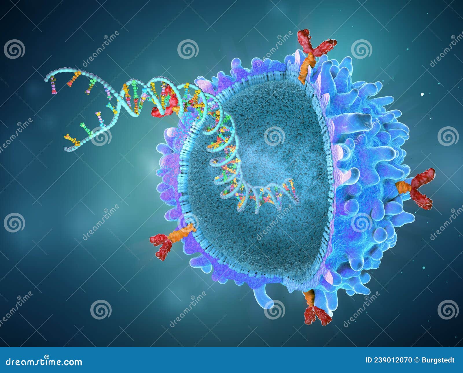 Genetically Engineered Chimeric Antigen Receptor Immune Cell with ...