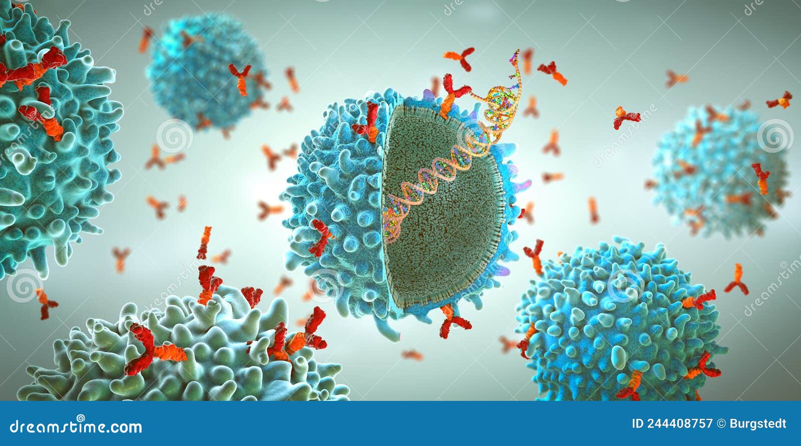 Chimeric Antigen Receptor T Cells. CAR T Cells Cartoon Vector ...