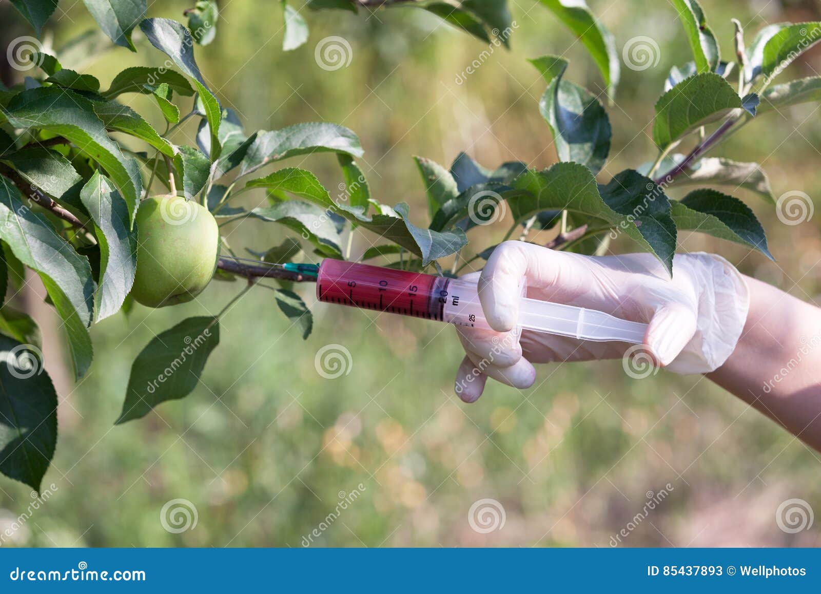 Genetically modified apple stock image. Image of experiment - 85437893