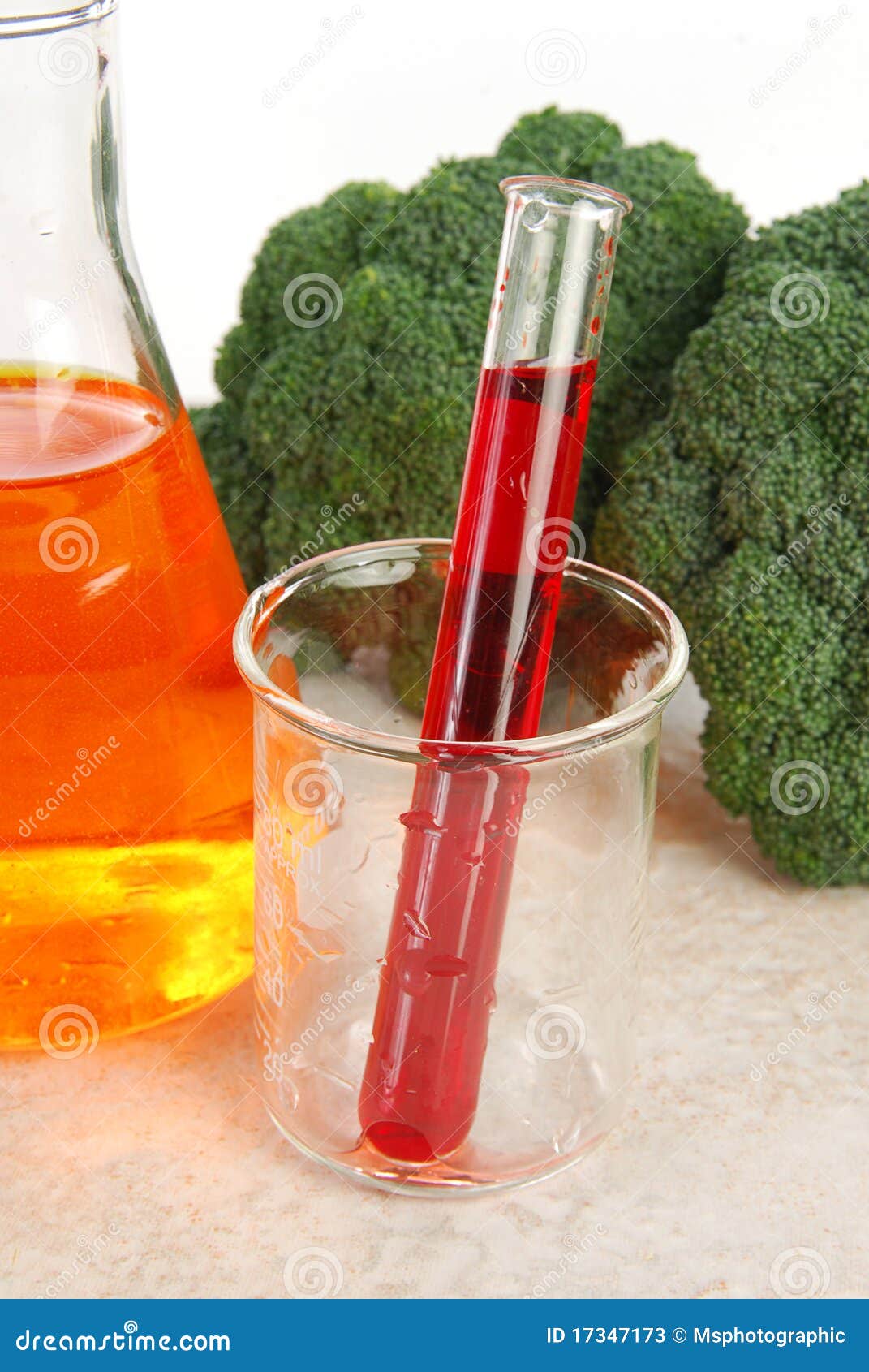 Genetically Modified Broccoli Stock Image - Image of broccoli, glass ...