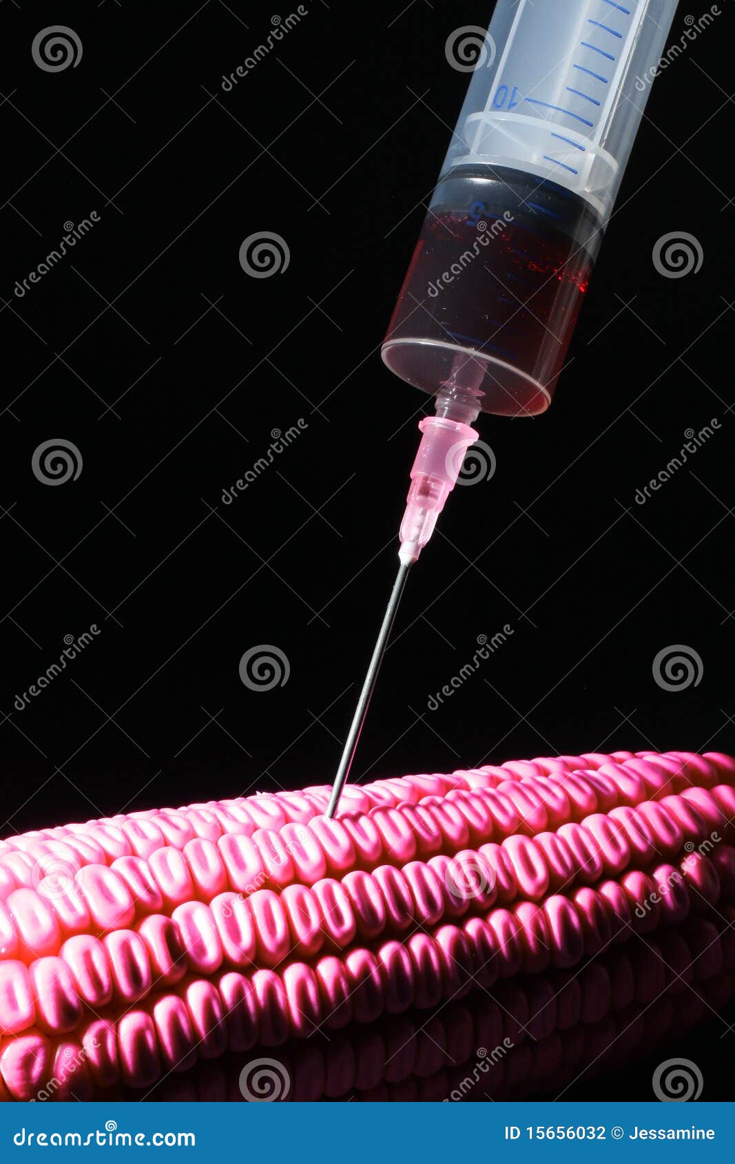 Genetically modified corn stock photo. Image of crop - 15656032