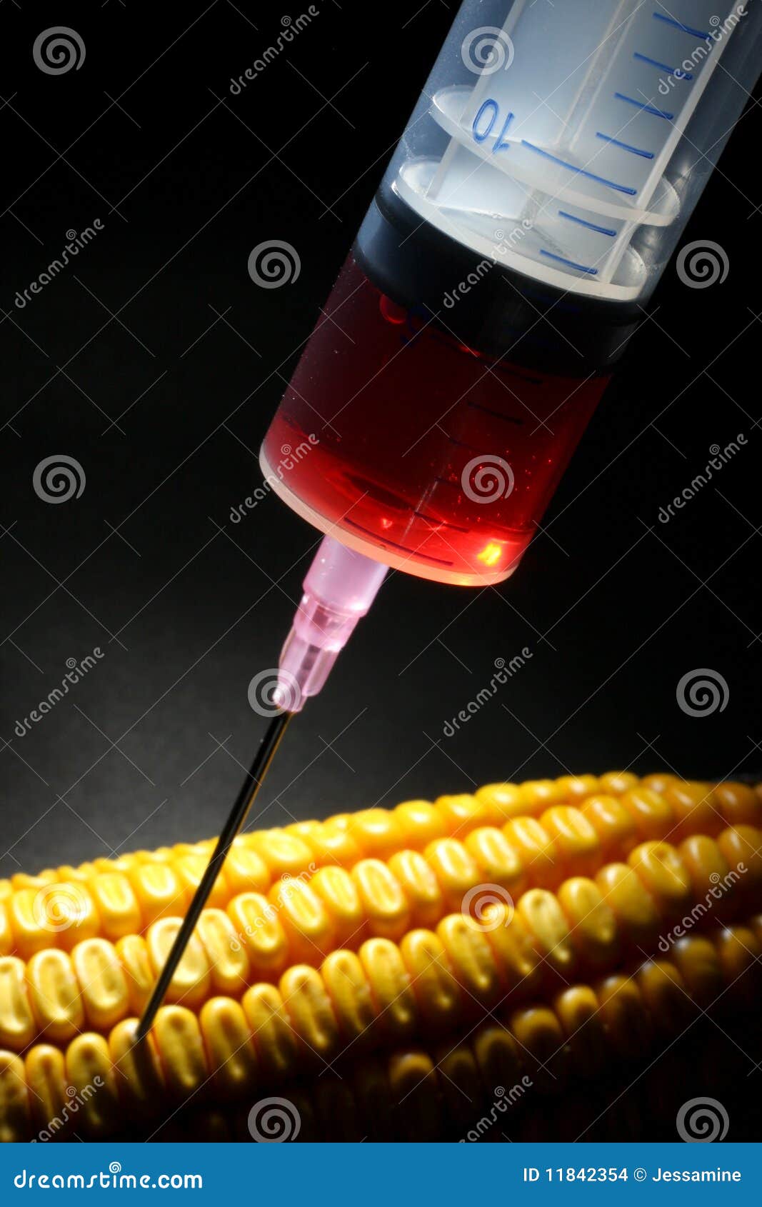 Genetically Modified Corn Food Concept Stock Photo - Image of close ...
