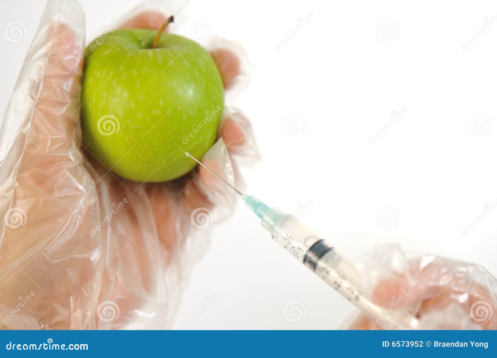 Genetically Modified Products. Chili Pepper Bush Growing In Soil ...