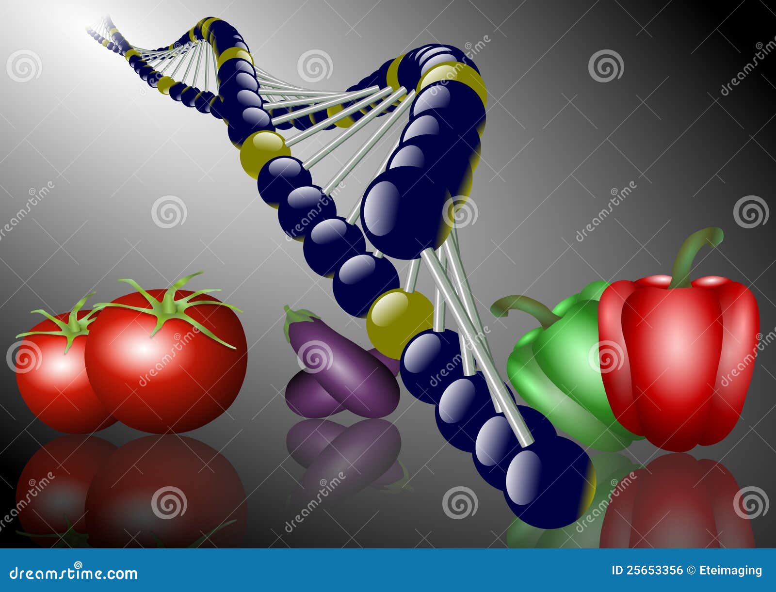 Genetically modified food stock illustration. Image of organic - 25653356