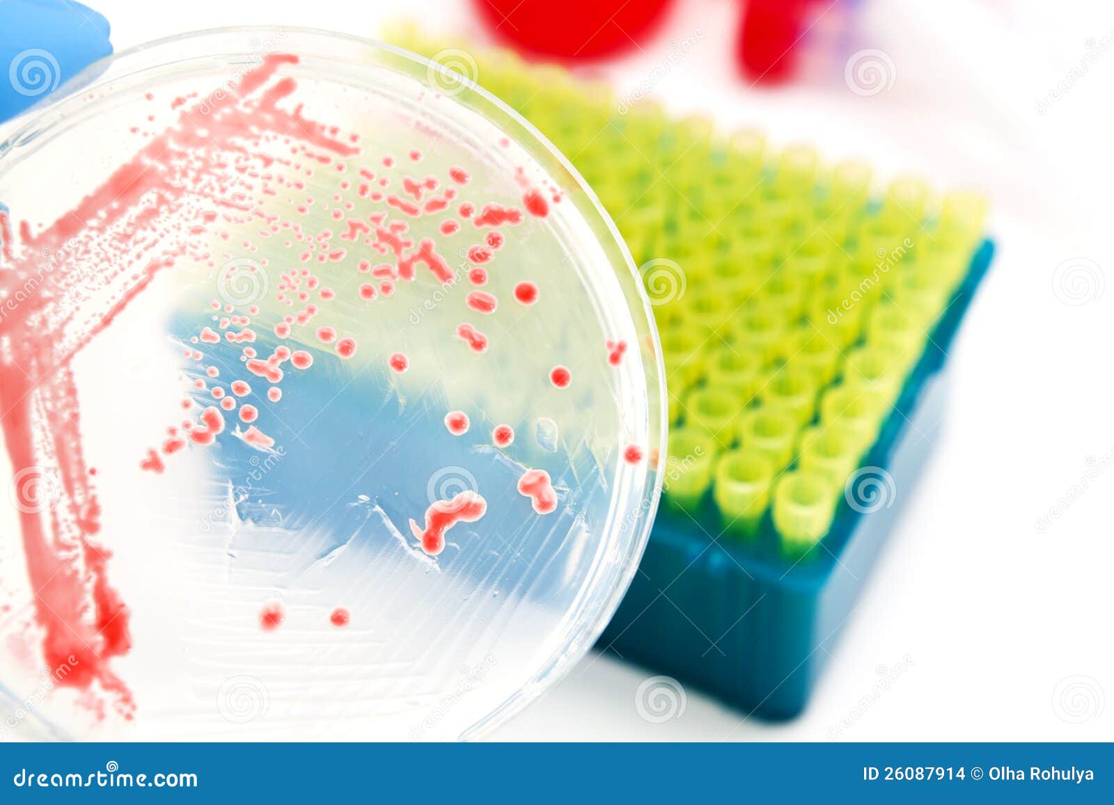 Genetically Modified Microorganisms Stock Photo - Image of laboratory ...