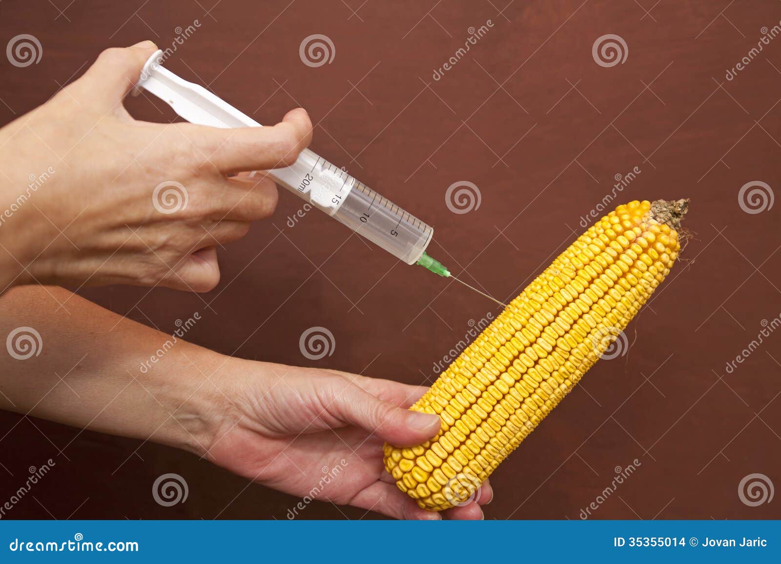 Genetically Modified Organism Stock Photo - Image of laboratory ...