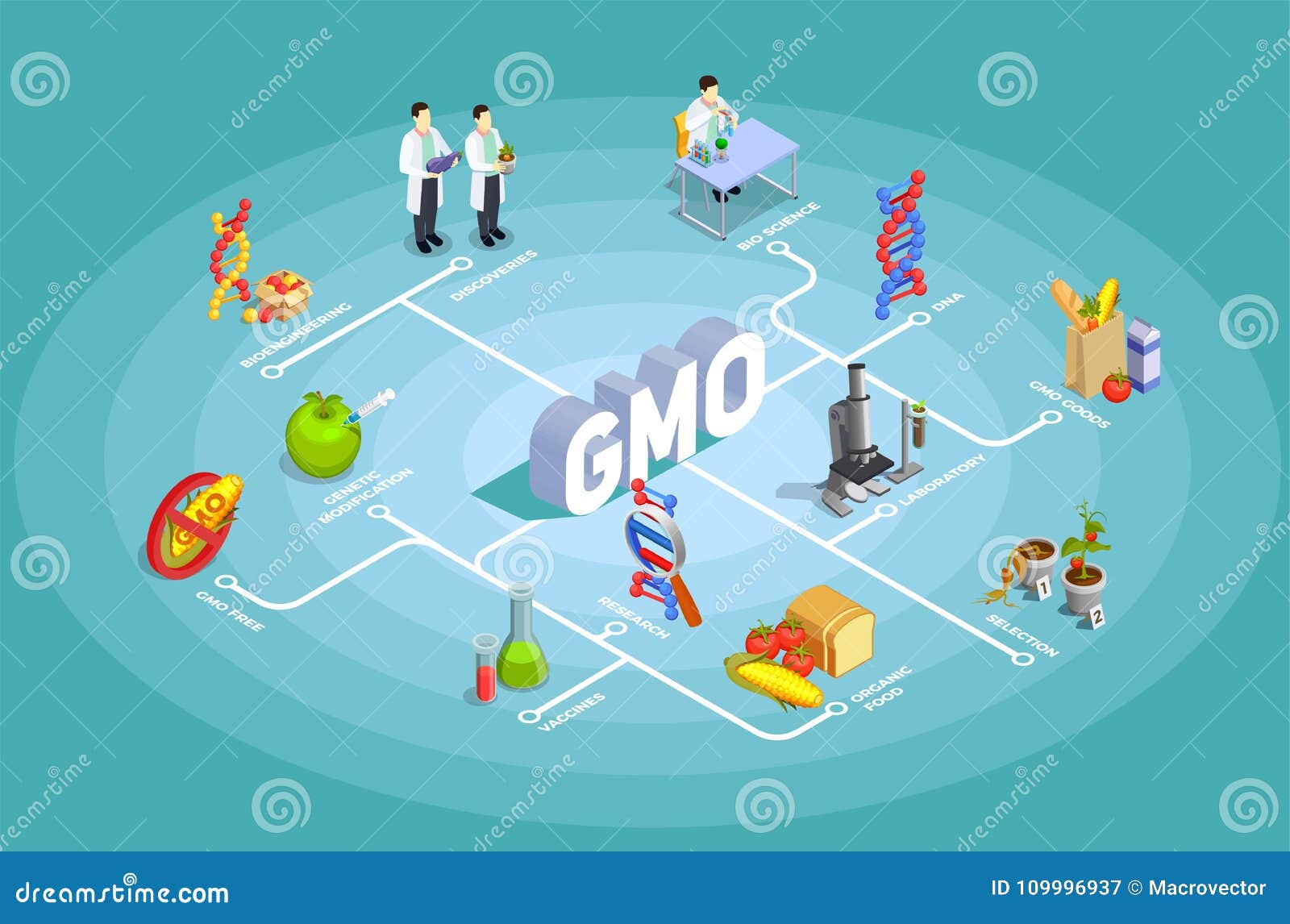 Genetically Modified Organisms Isometric Flowchart Cartoon Vector ...