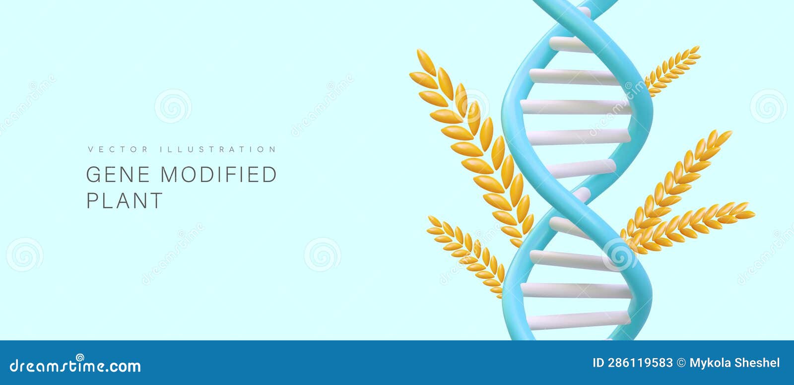 Genetically Modified Plant. 3D Spikelet And DNA Double Helix ...
