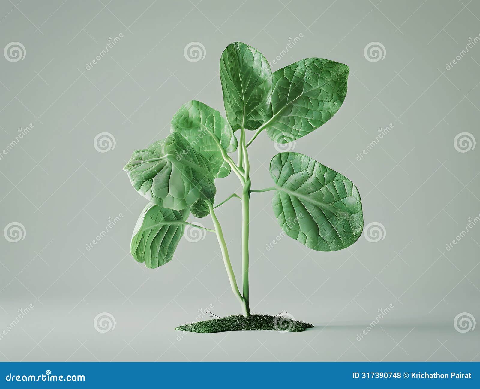 Genetically Modified Plants and DNA from Biological Scientists. the ...